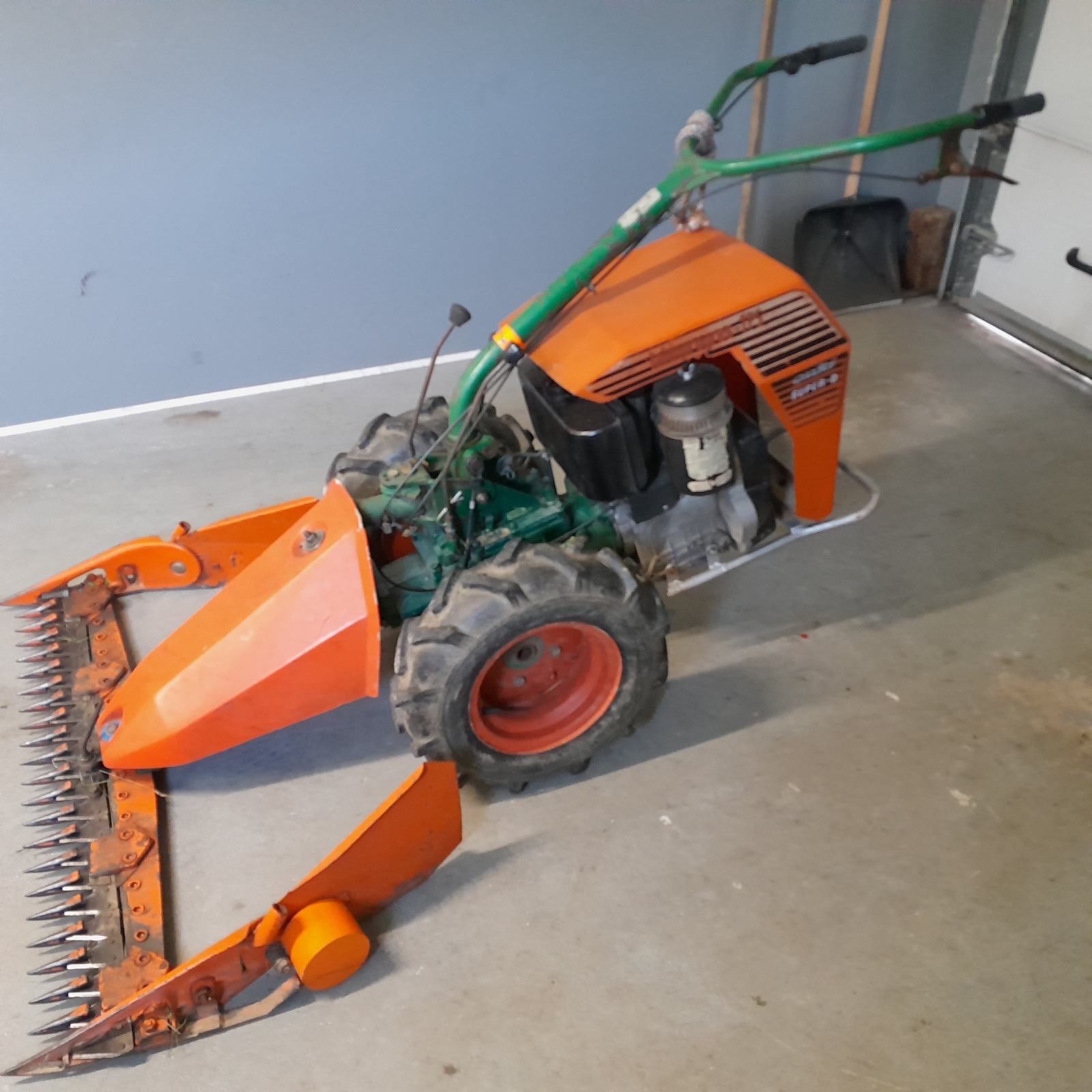 Goldoni mondijal labin progres