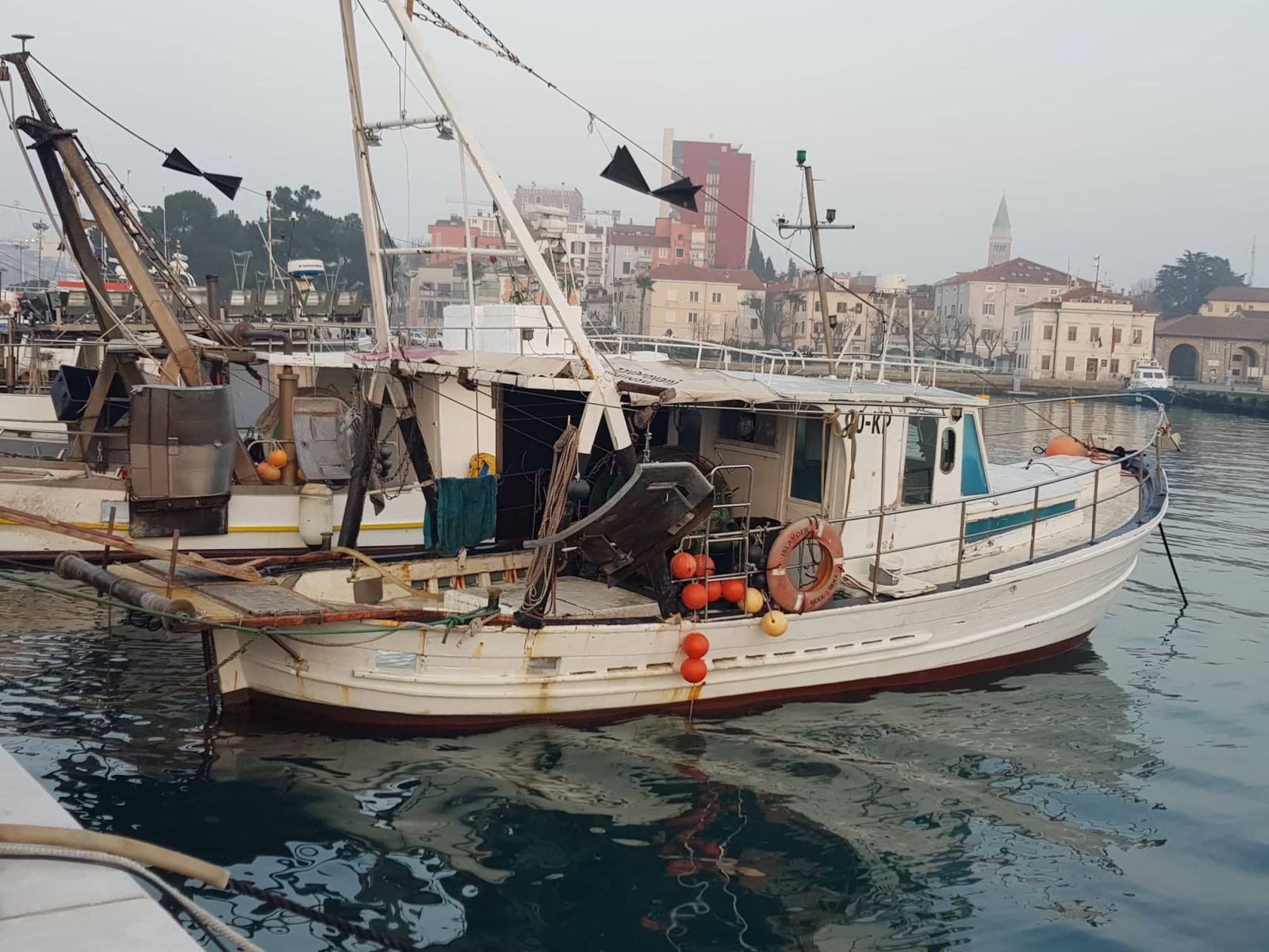 Koper