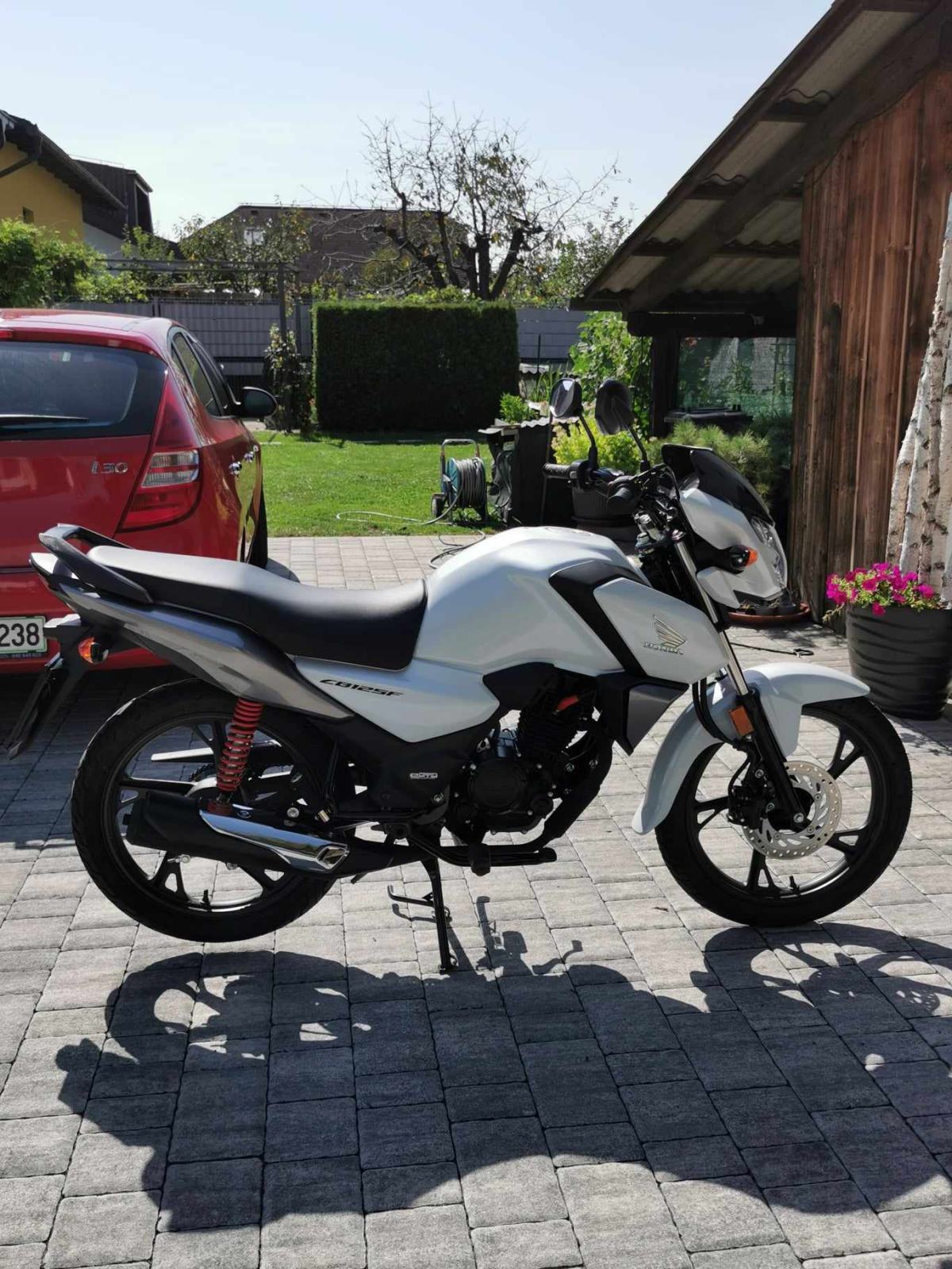 Honda Cbf125 124 cm3, 2023 l.