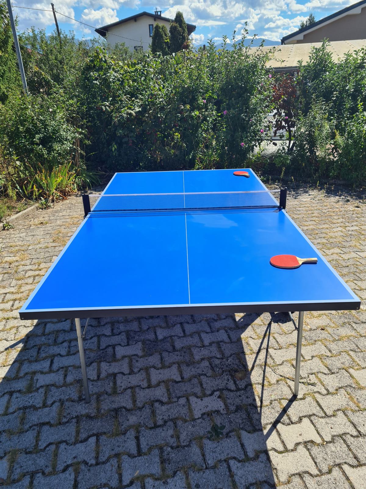 Ping pong miza