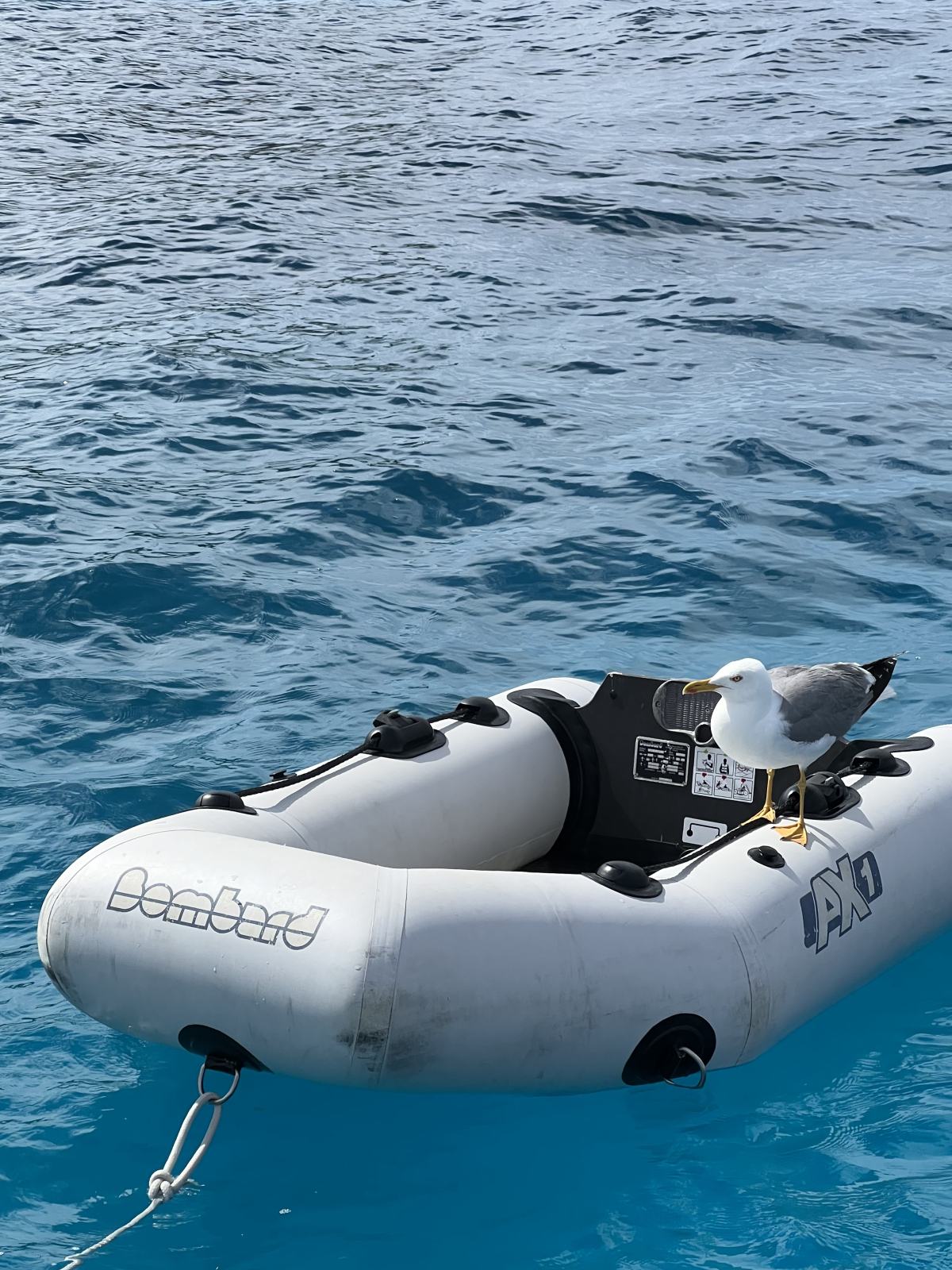 Napihljiv čoln Bombard AX1