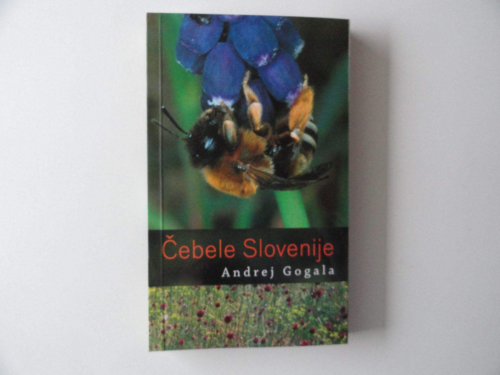 ANDREJ GOGALA, ČEBELE SLOVENIJE
