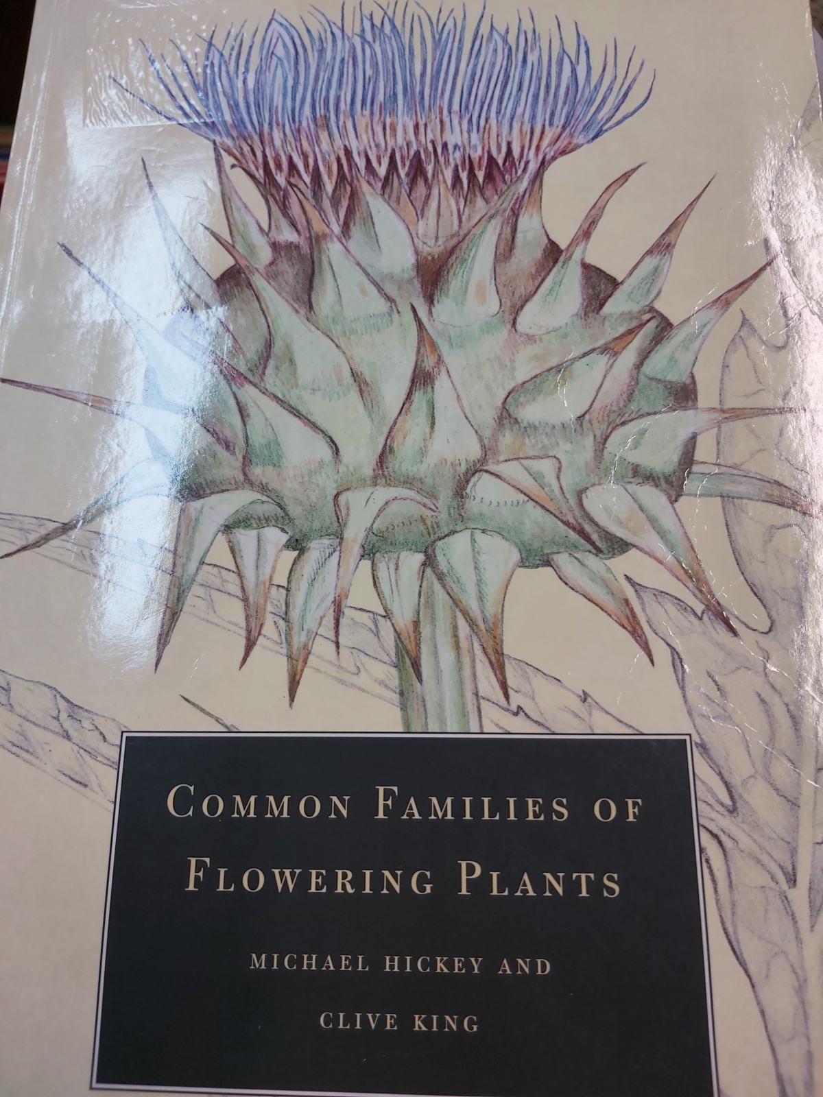 Common Families of Flowering Plants