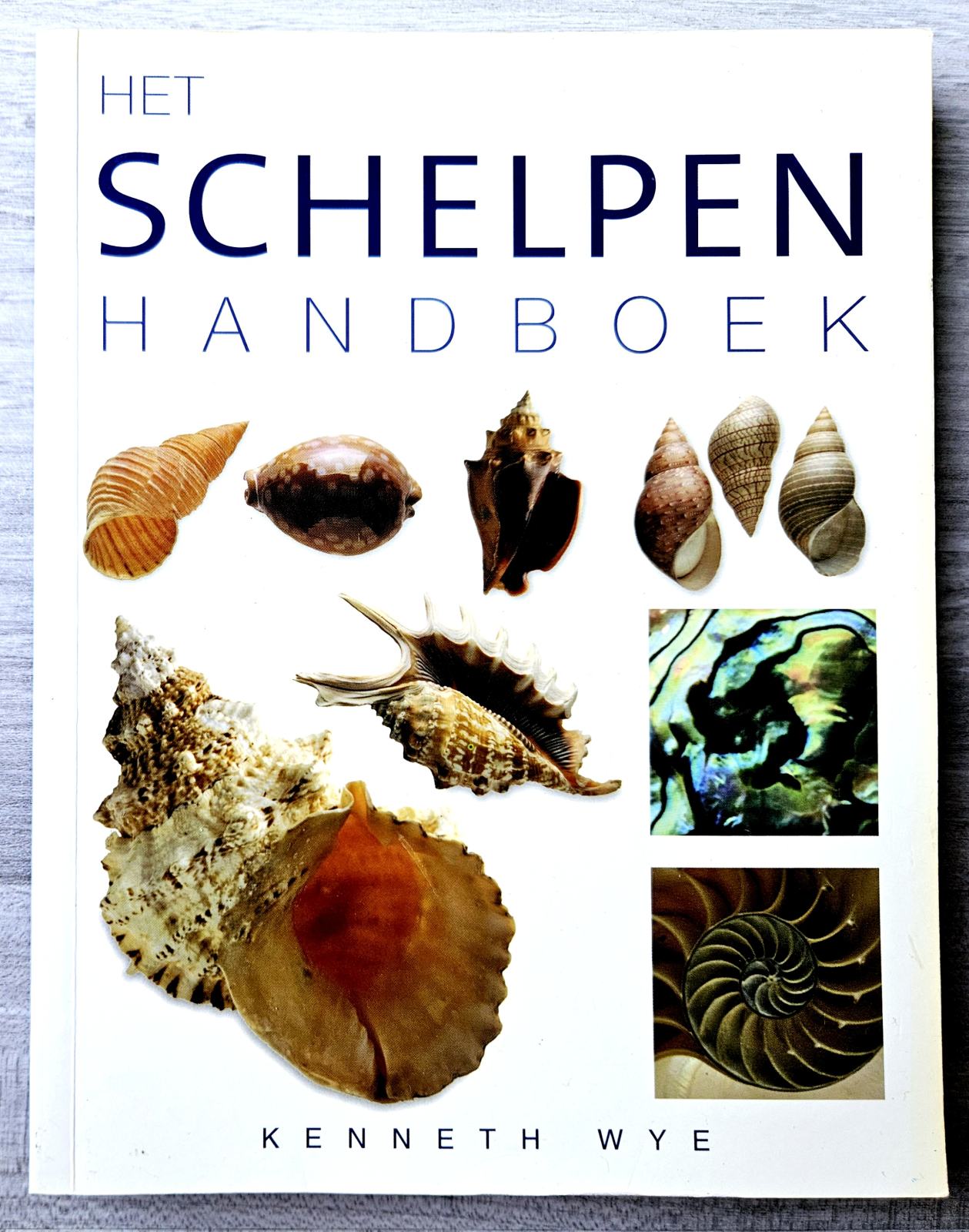 HET SCHELPEN HANDBOEK - ŠKOLJKE (KNJIGA O ŠKOLJKAH) Kenneth Wye