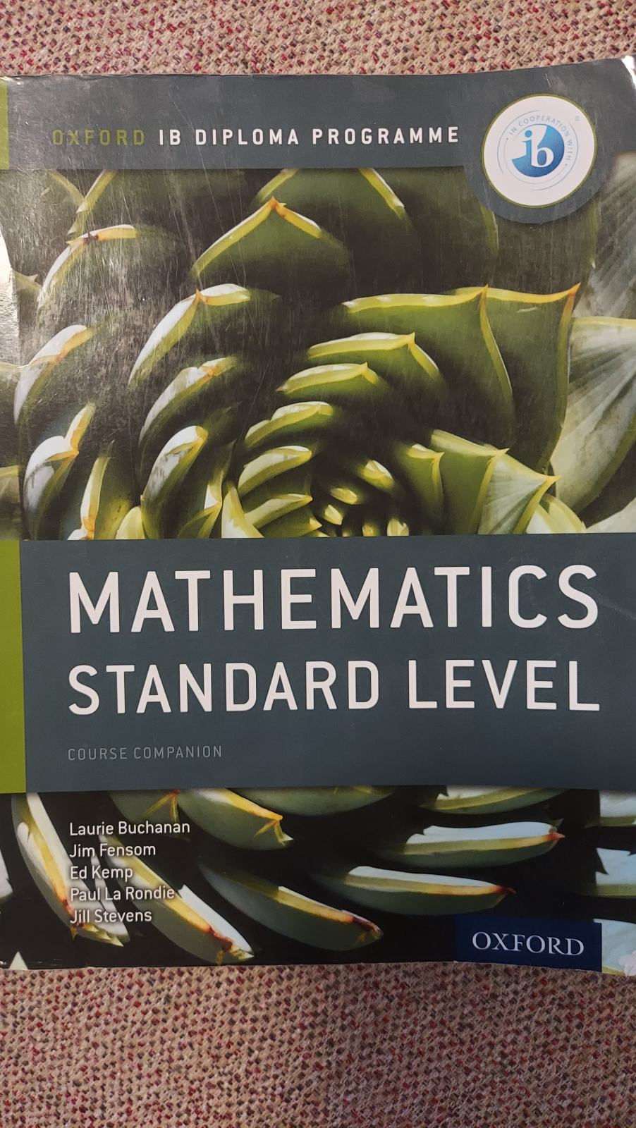 mathematics standard level