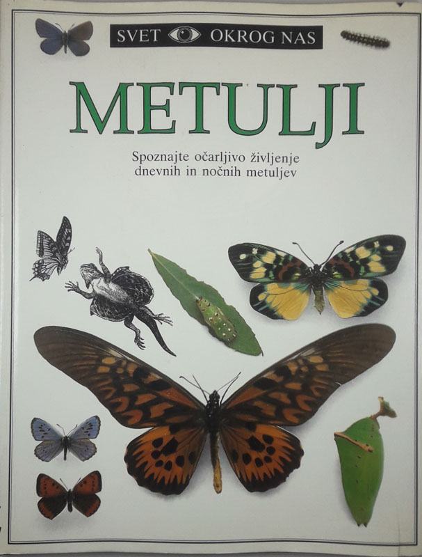 METULJI; SPOZNAJTE OČARLJIVO ŽIVLJENJE DNEVNIH IN NOČNIH METULJEV