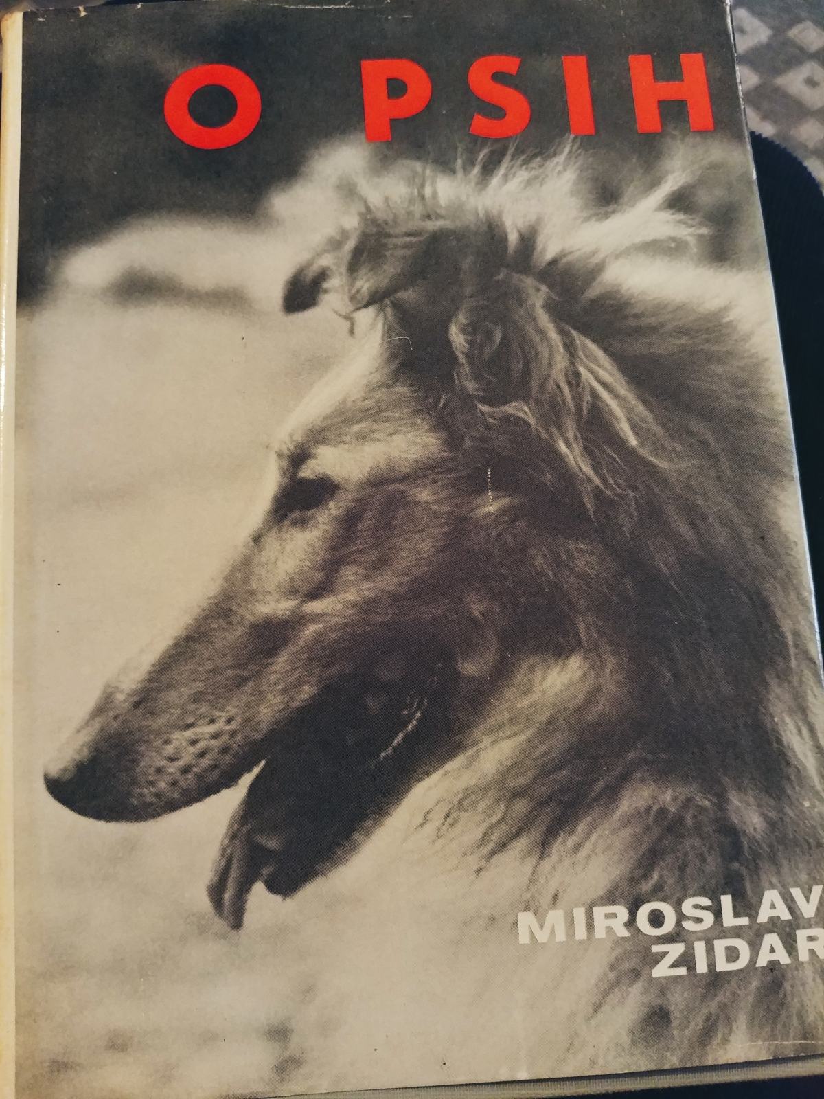 O PSIH MIROSLAV ZIDAR