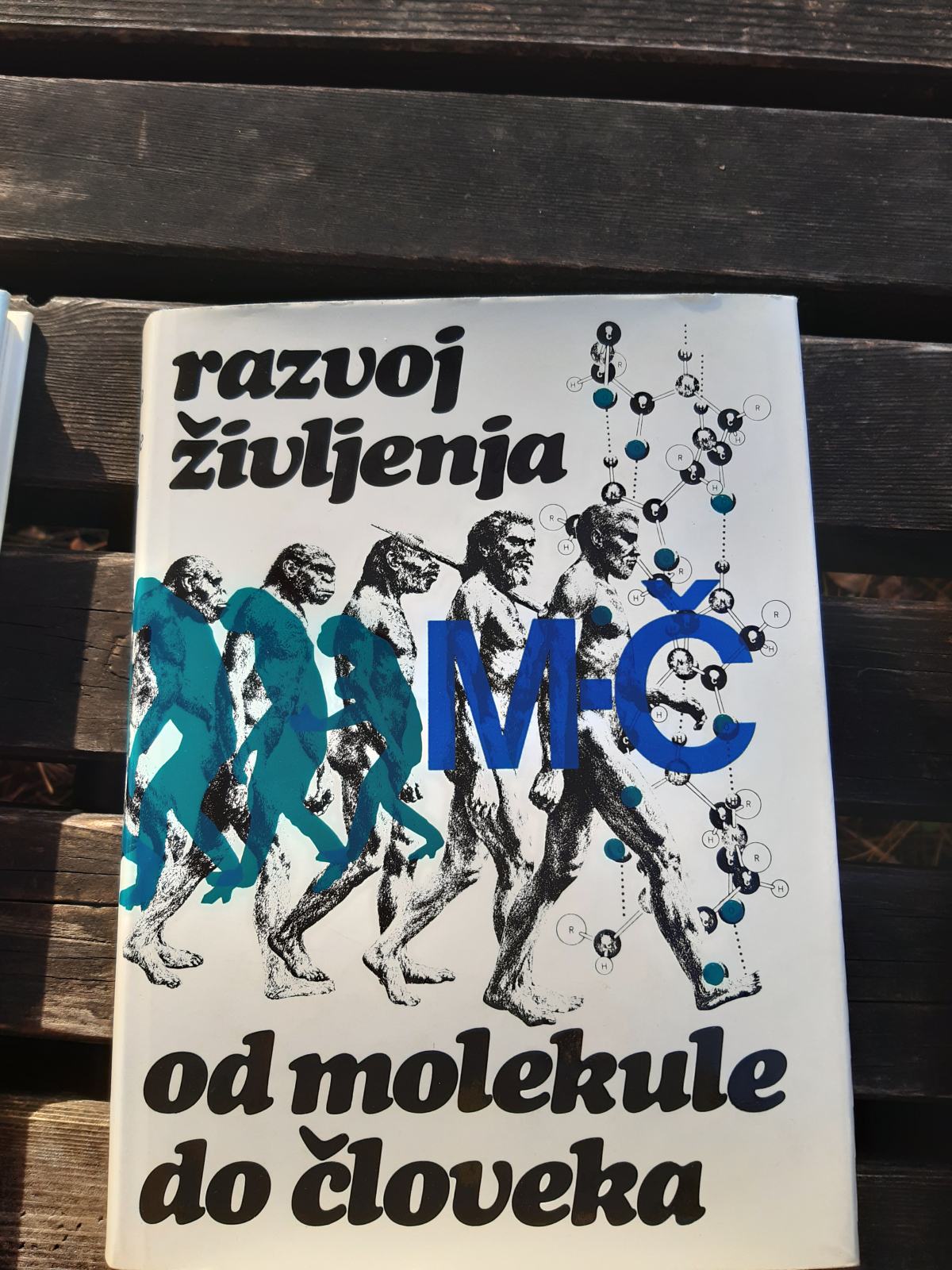 RAZVOJ ŽIVLJENJA OD MOLEKULE DO ČLOVEKA