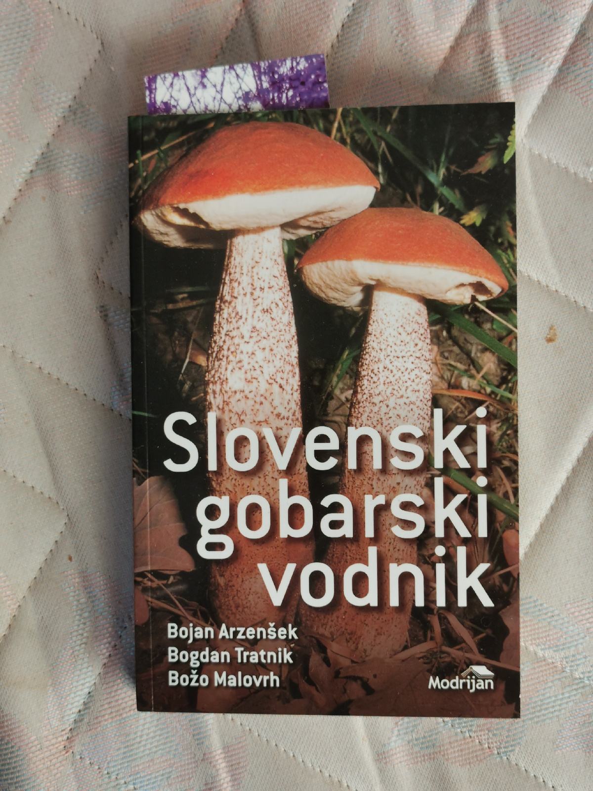 Slovenski gobarski vodnik, Modrijan