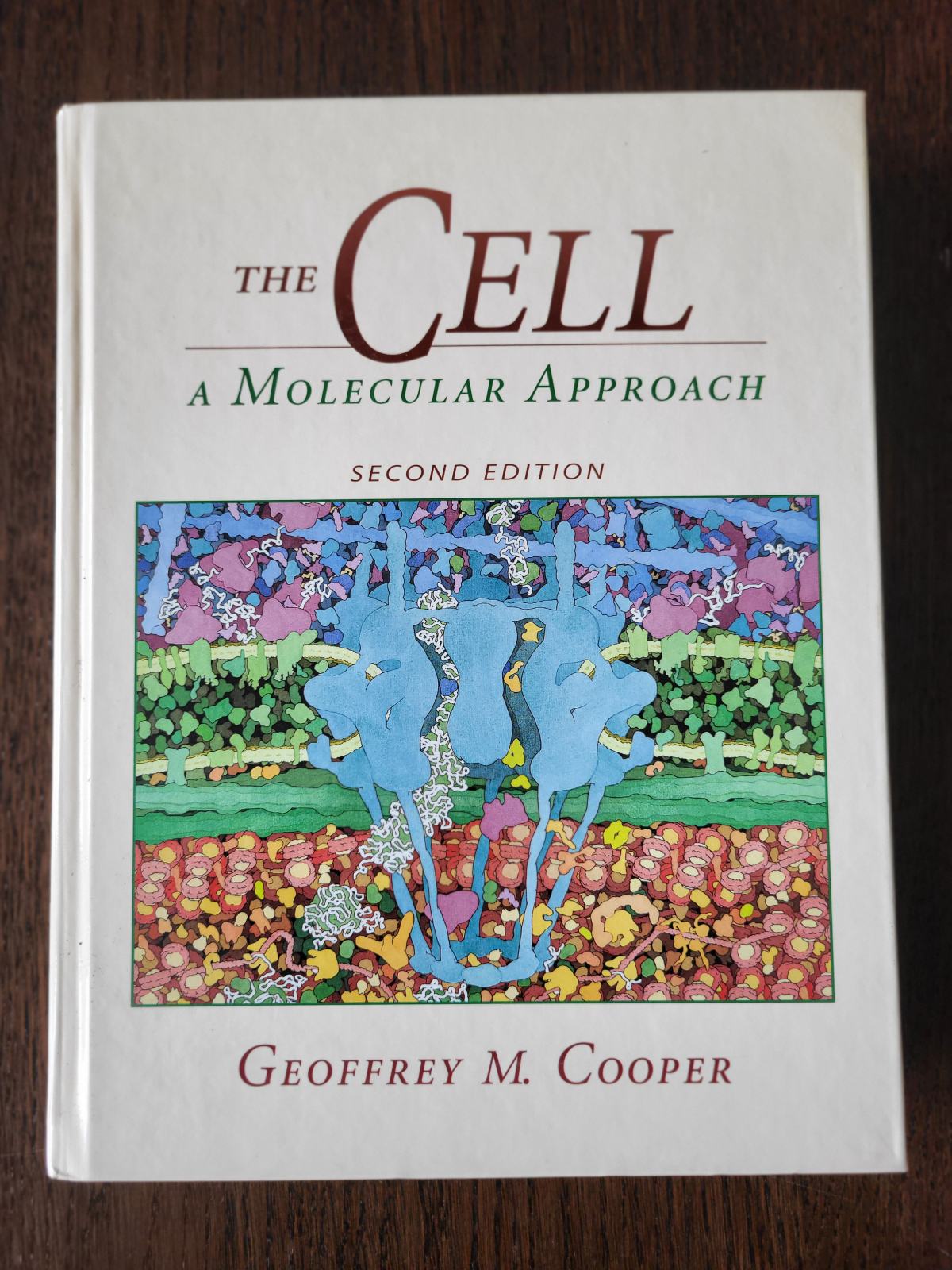 The Cell: A Molecular Approach, Geoffrey M. Cooper