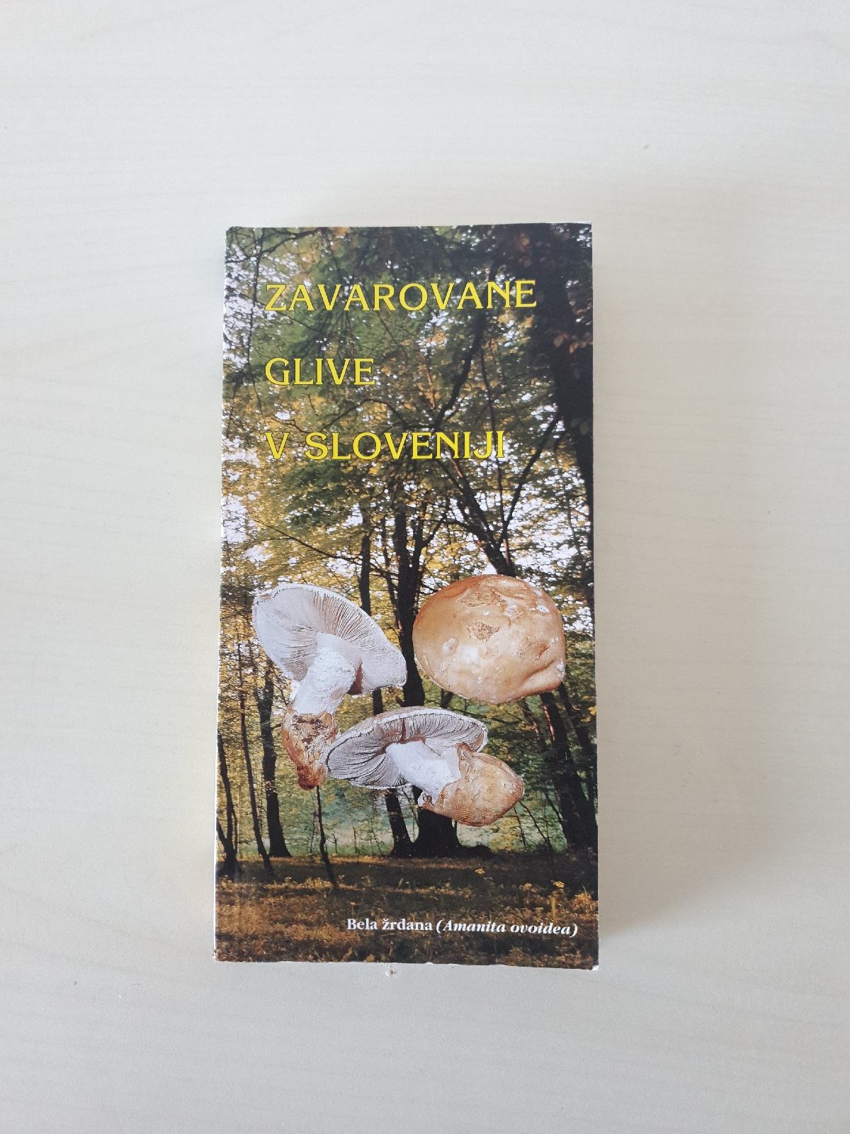 Zavarovane glive v Sloveniji