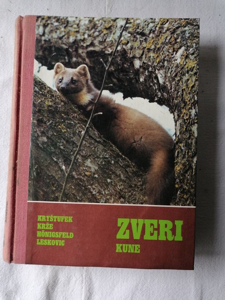 ZVERI I. Kune - Mustelidae