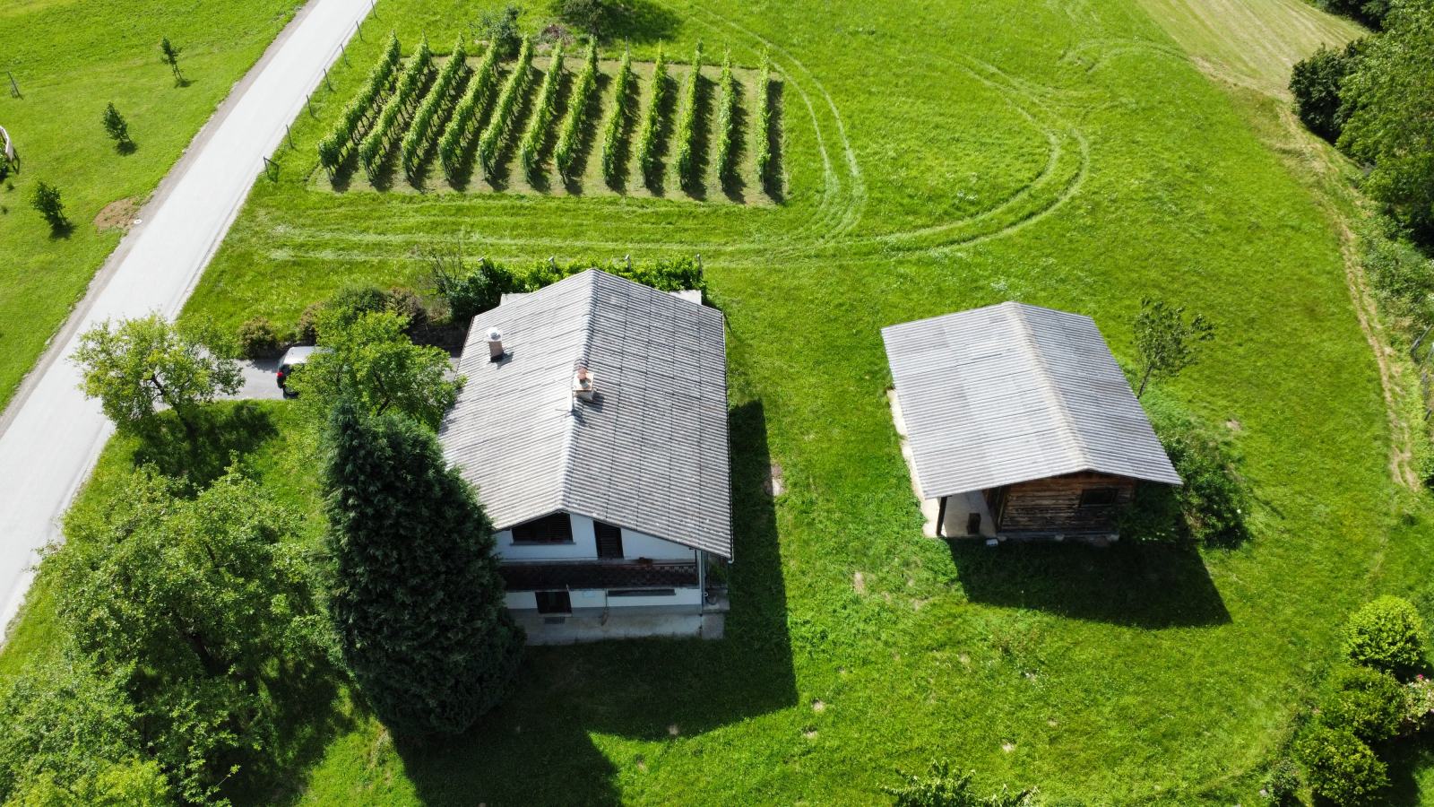 Hiša z zemljiščem na mirni lokaciji v Topolah - Rogaška Slatina (prodaja)