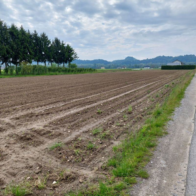 Investicijsko zemljišče zemljišče, Stojnci