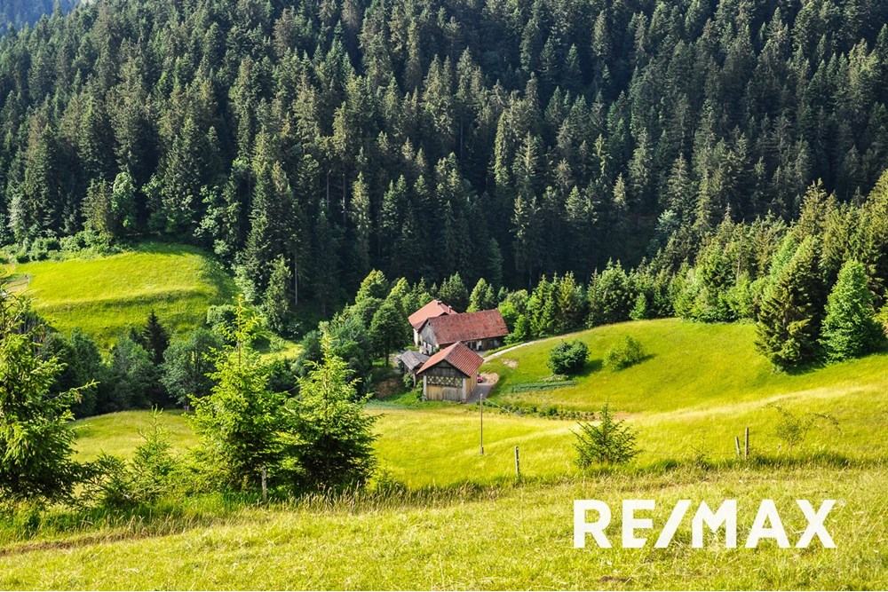 Kmetijska posest (prodaja)