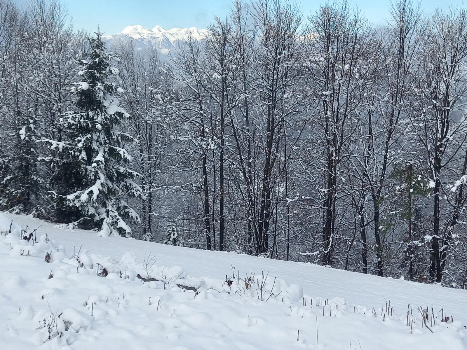 Ljubljana Sostro 5 km od obvoznice pogled na Alpe in Janče, 677 m2