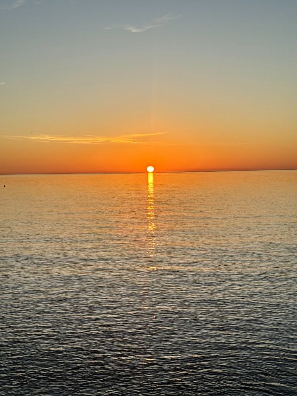 Lokacija stanovanja: Mareda (oddaja)