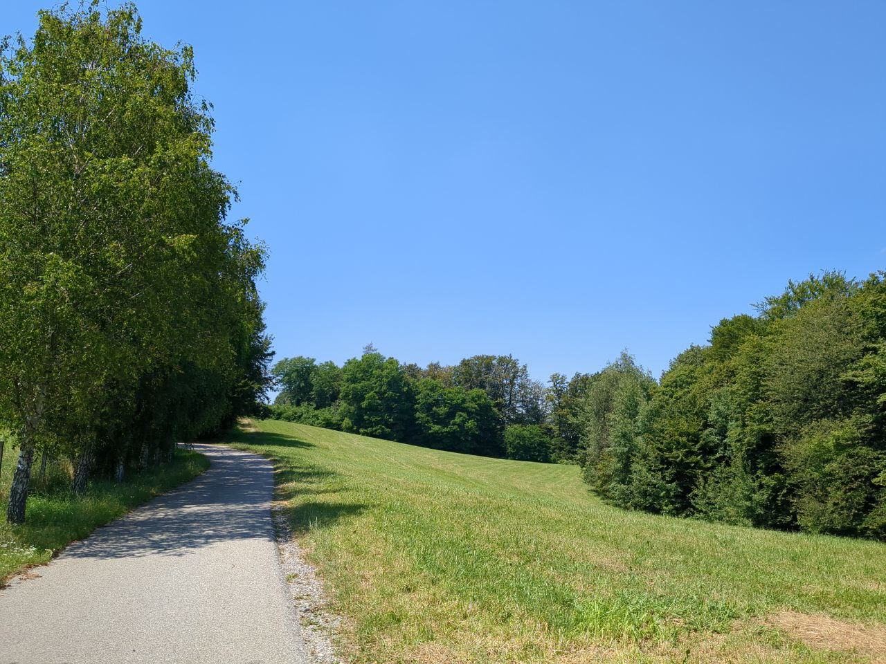 Posest, Kmetija, Rucmanci, 37.789 m2