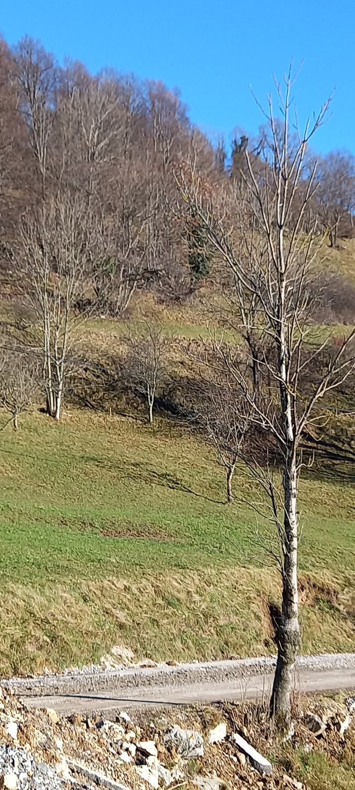 Prodaja, posest, kmetijsko zemljišče: KANALSKI LOM, 1856 m2