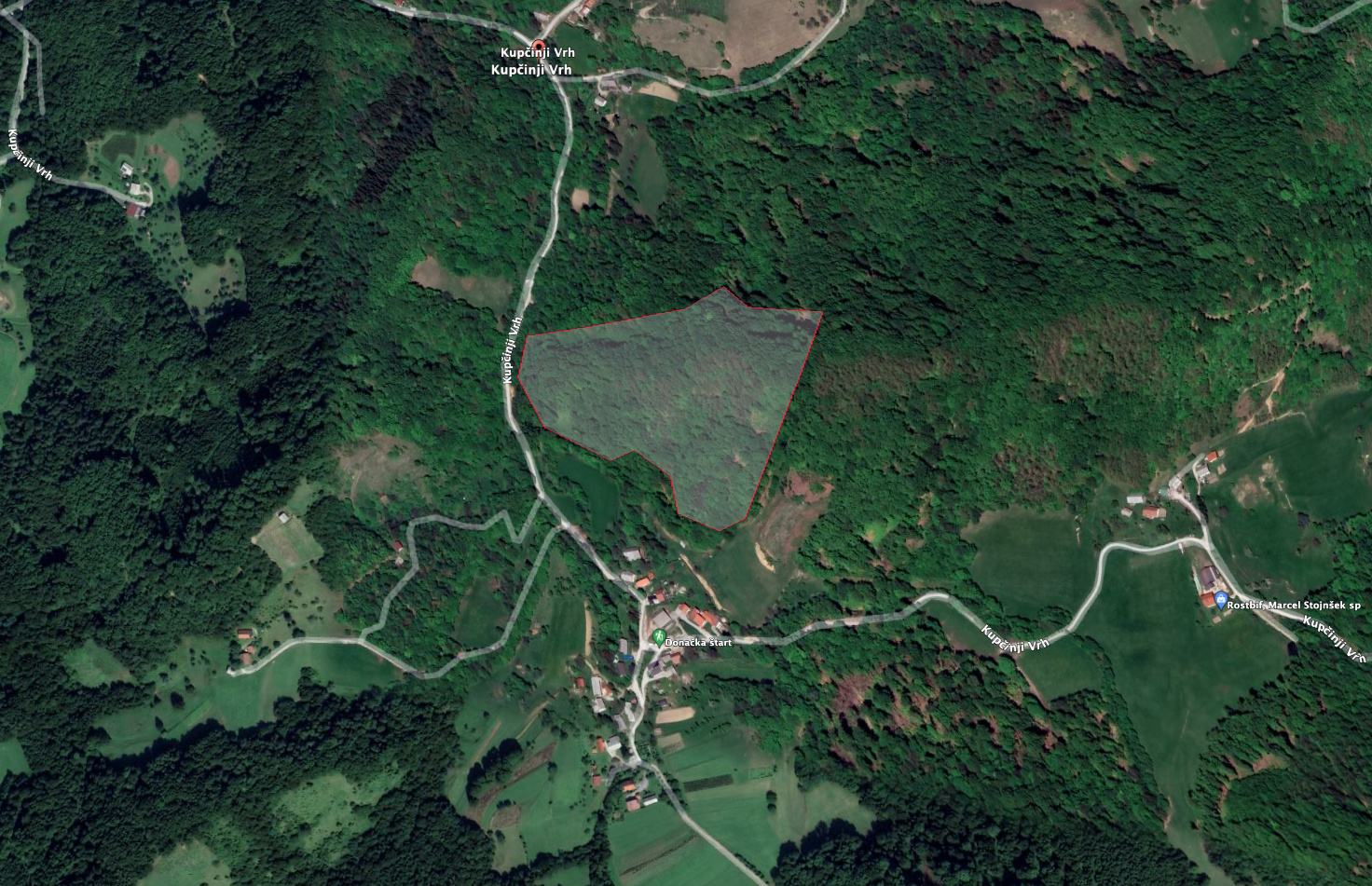 Prodamo bukov gozd v bližini Donačke gore v izmeri 30.450m2