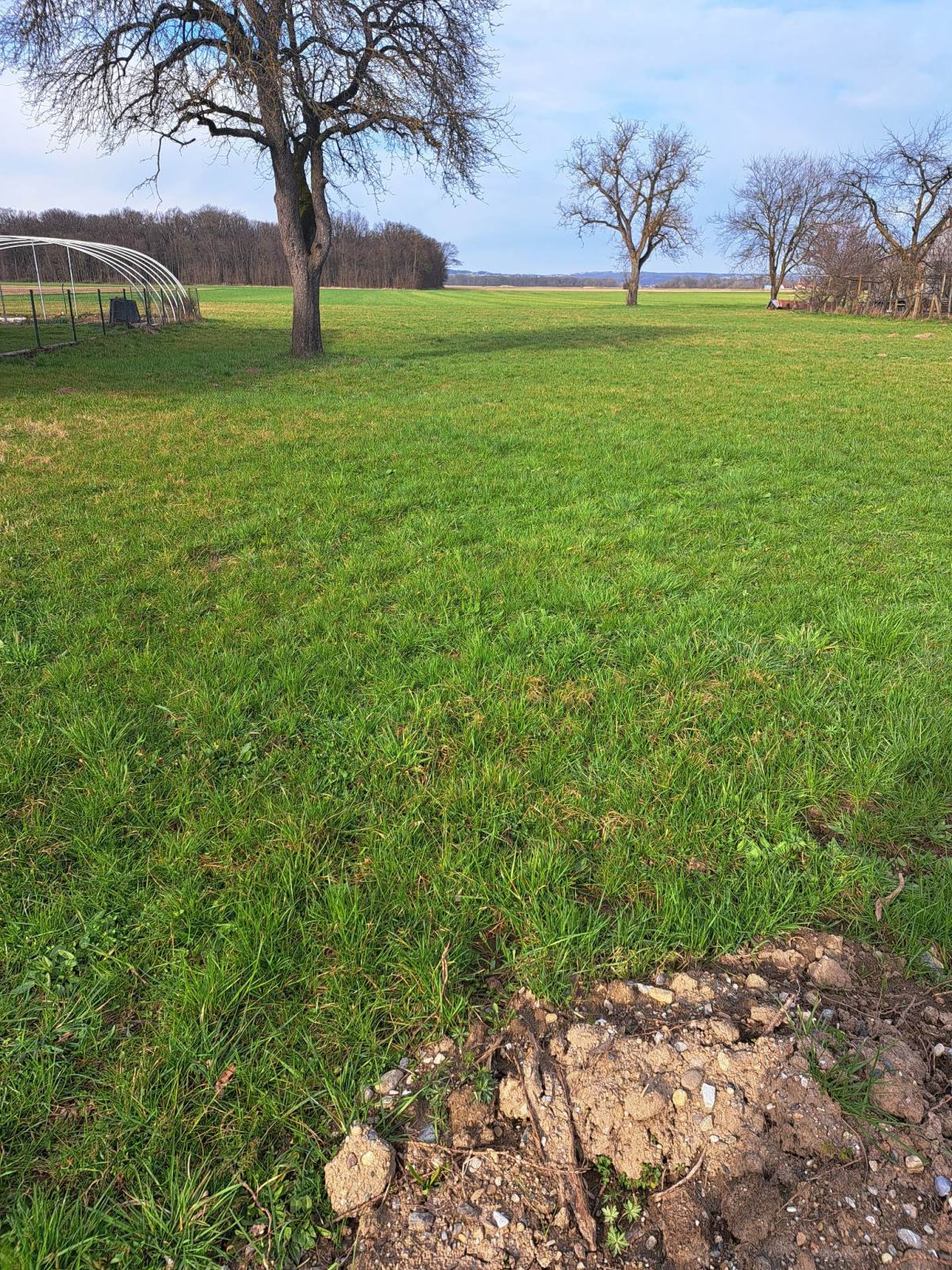 Zazidljiva posest, 1000 m2