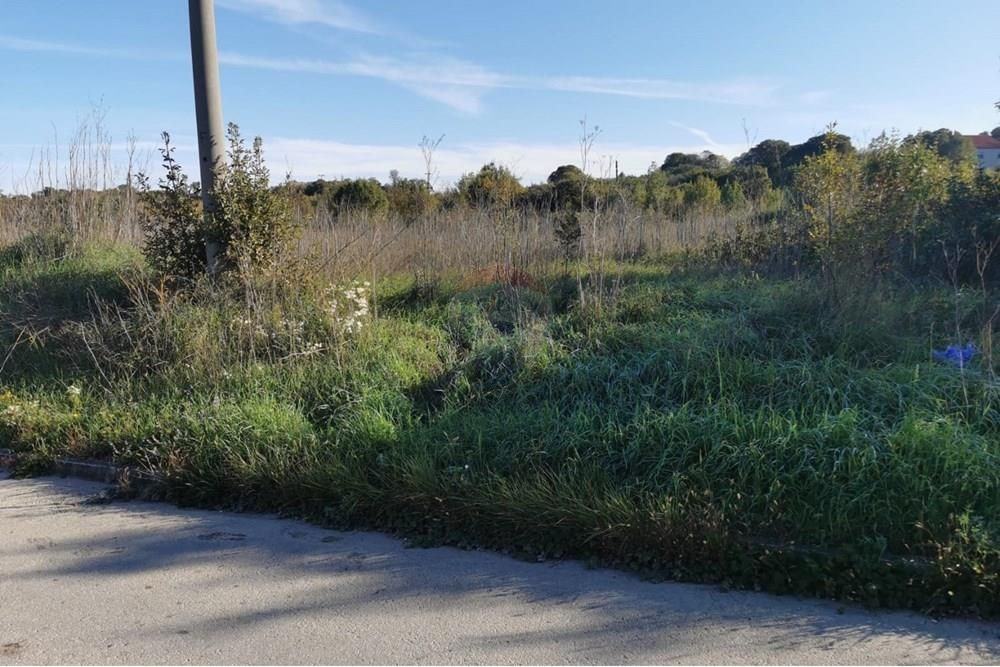 Zemljišče Pridraga, Novigrad, 460m2