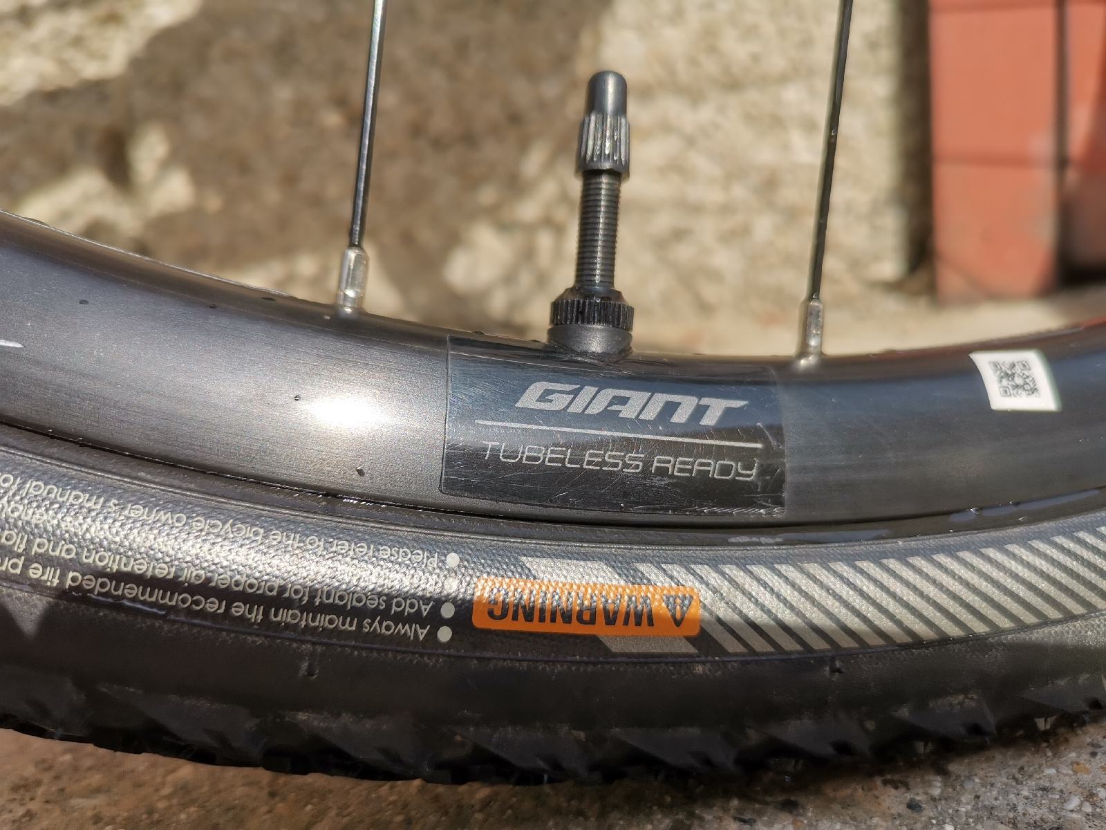 Giant SX2 set obročev z gumami za gravel kolo
