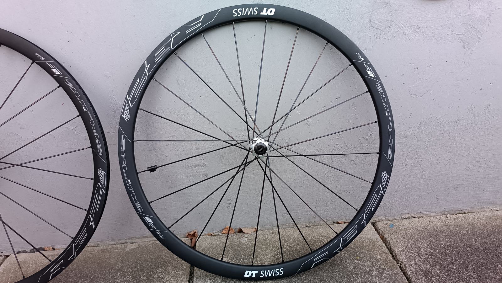 Obroči DT Swiss R32 Spline DB