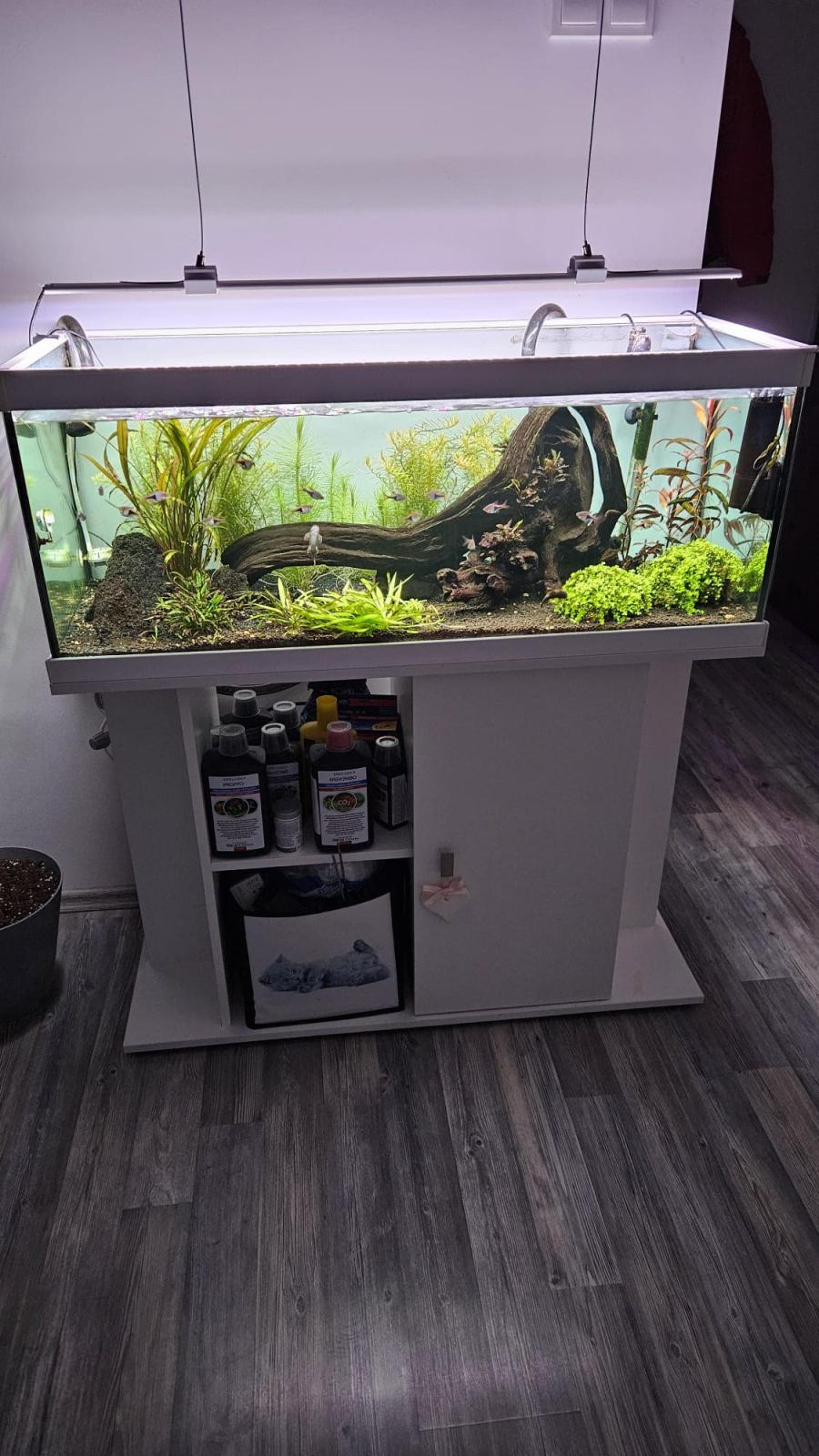 Akvarij Aquatlantis 100 x40 x 40 z original omarico