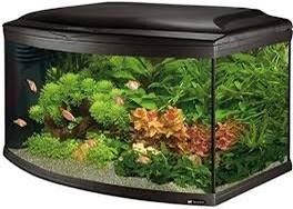 Akvarij cayman 80 scenic 150L