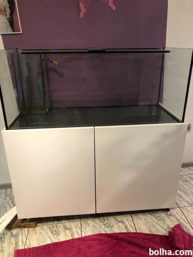 Akvarij, morski akvarij in oprema