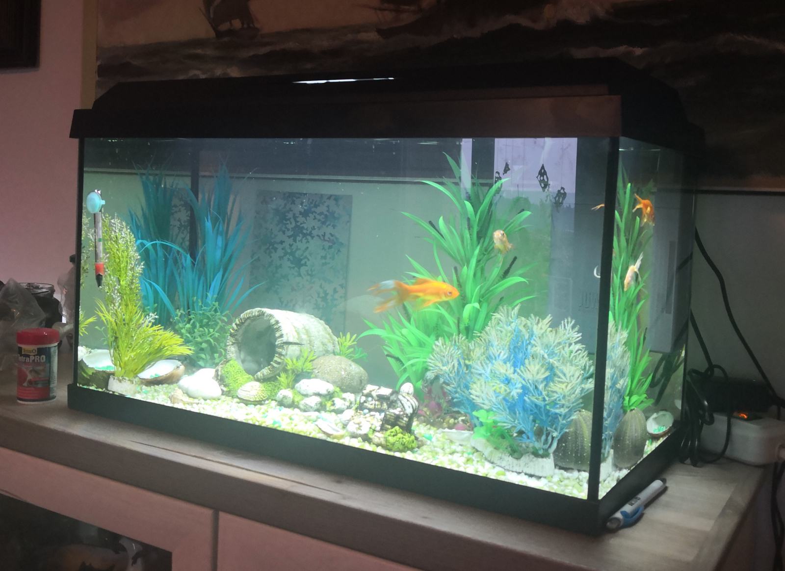 Akvarij za ribe 57 litrov, kot nov