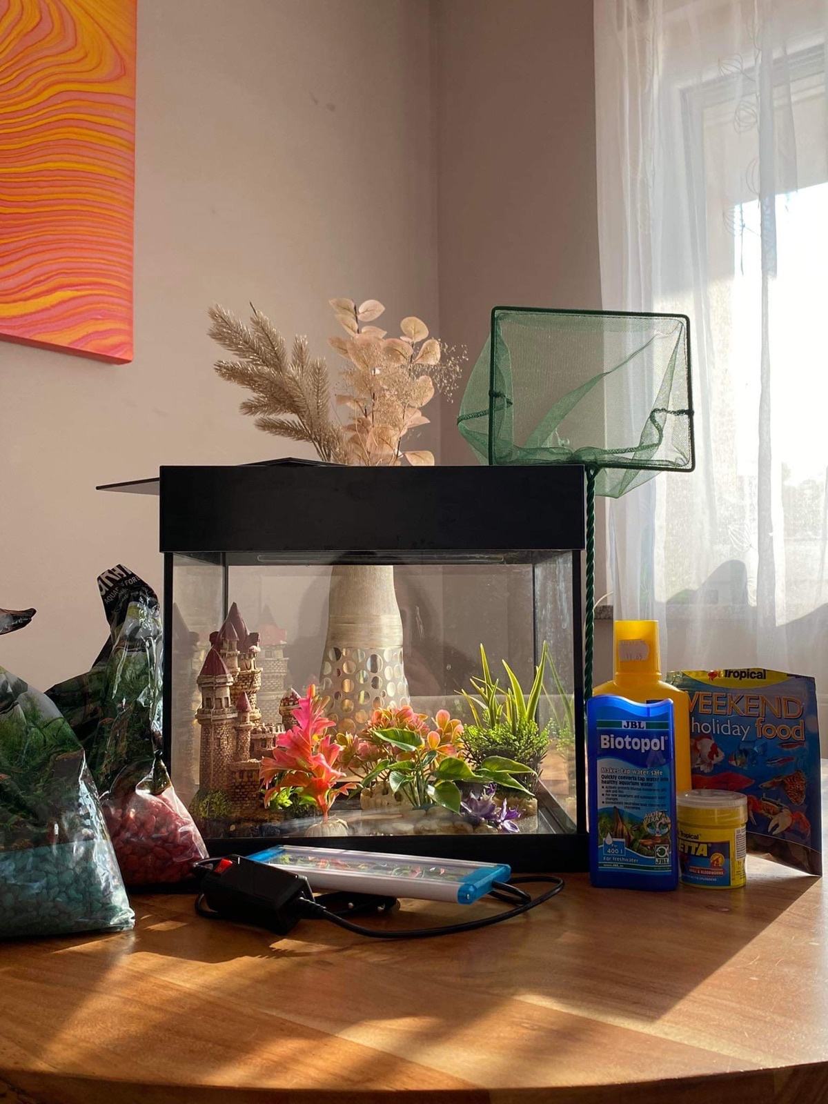 Akvarij za ribe in dodatki