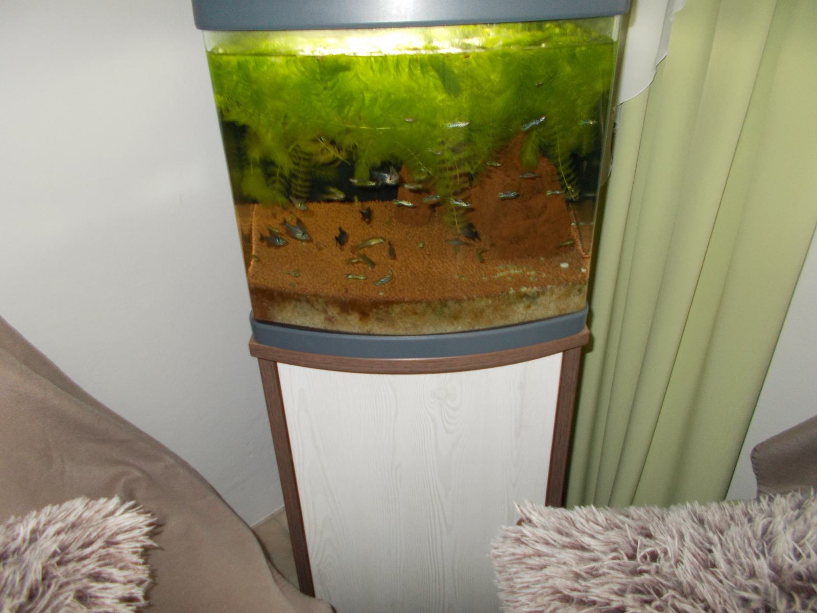 akvarij sera nano cube