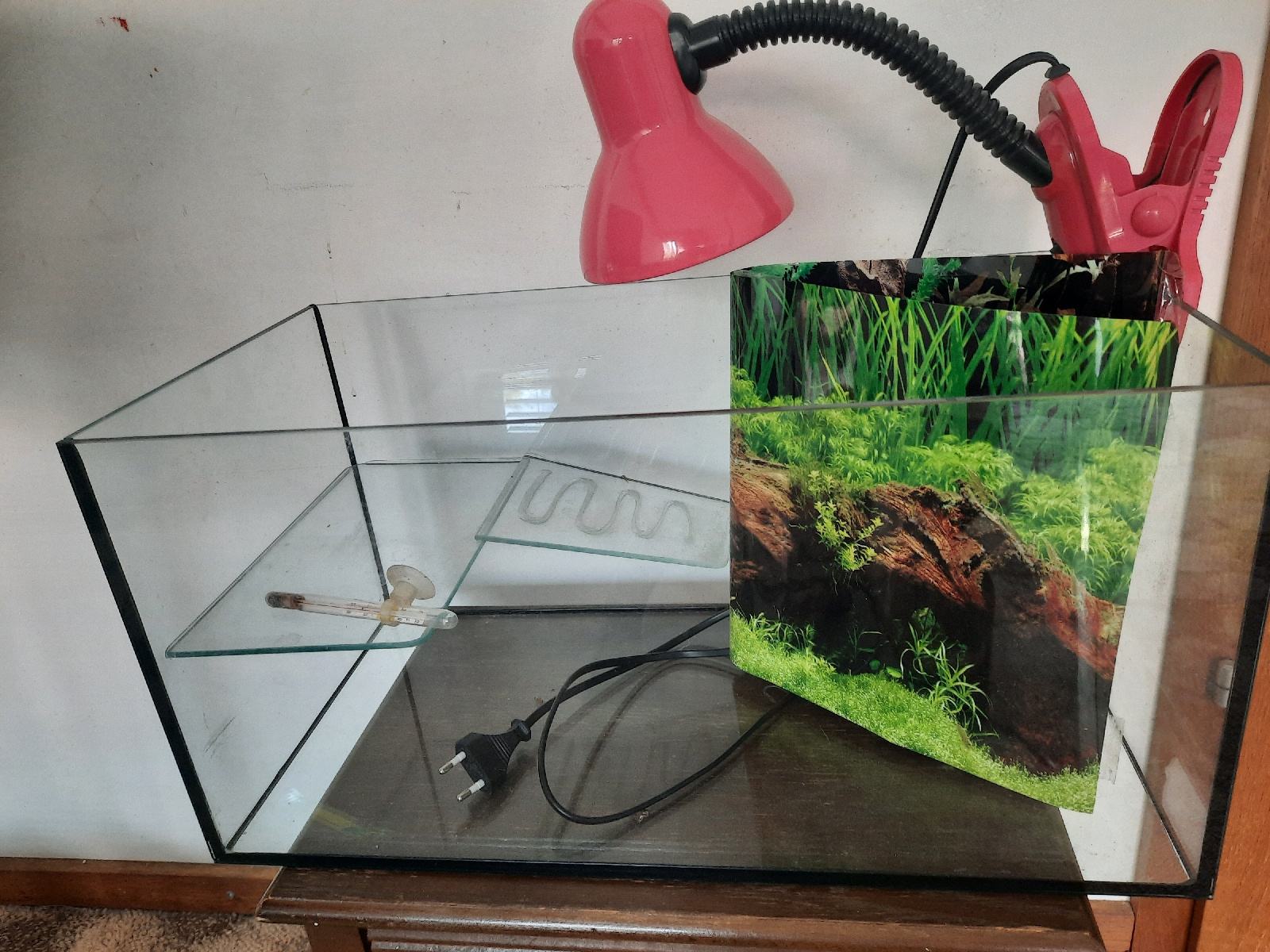 Akvarij za vodne želve