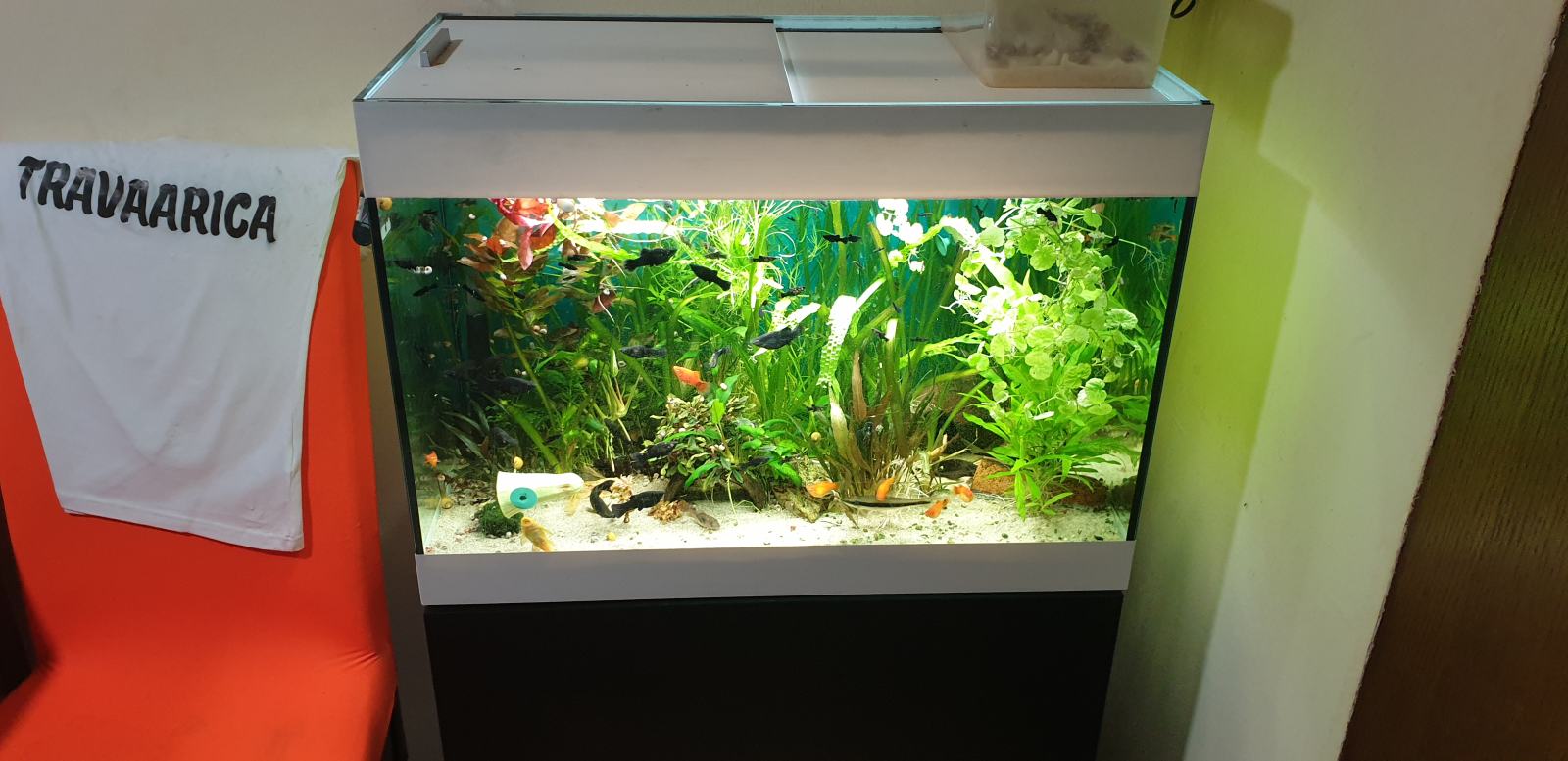 akvariji z opremo in dodatki