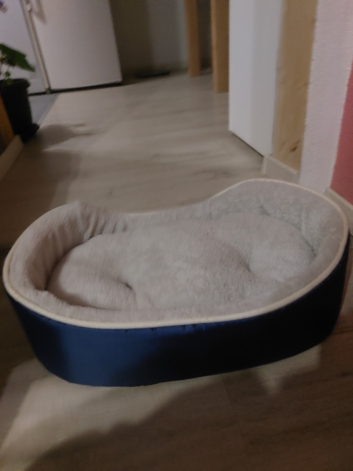 Postelja za mačke ali pse