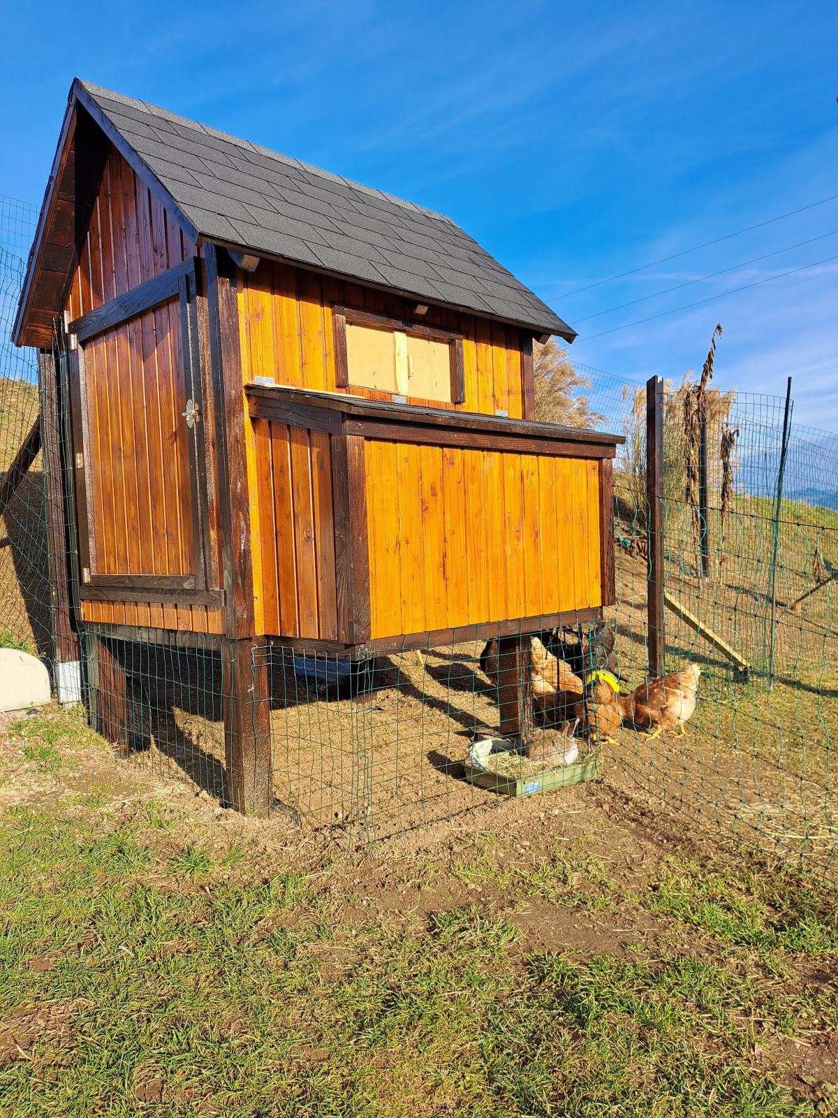 Kokošnjak, kurnik