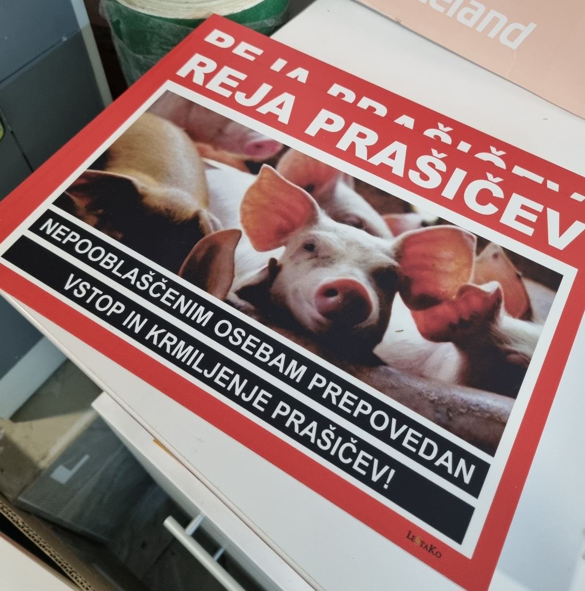 REJA PRAŠIČEV TABLA