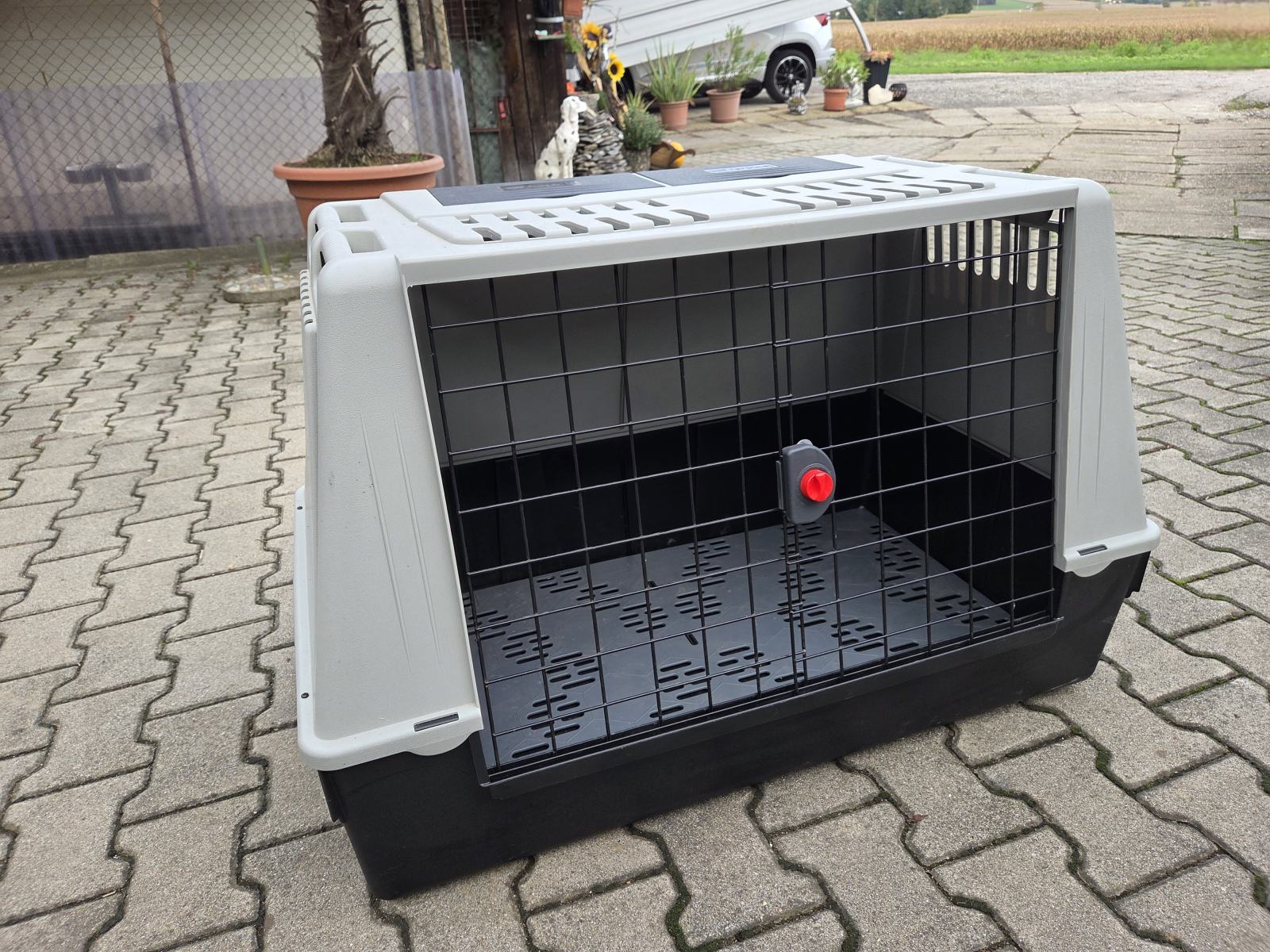 Box - transporter za psa