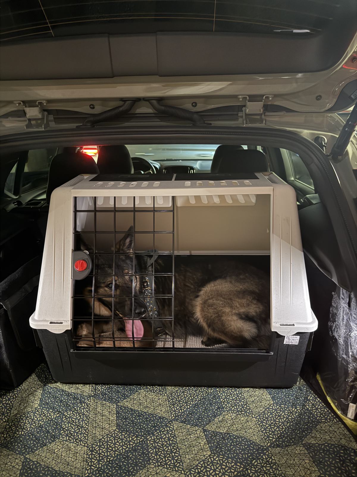 Embalazni Box za kuža