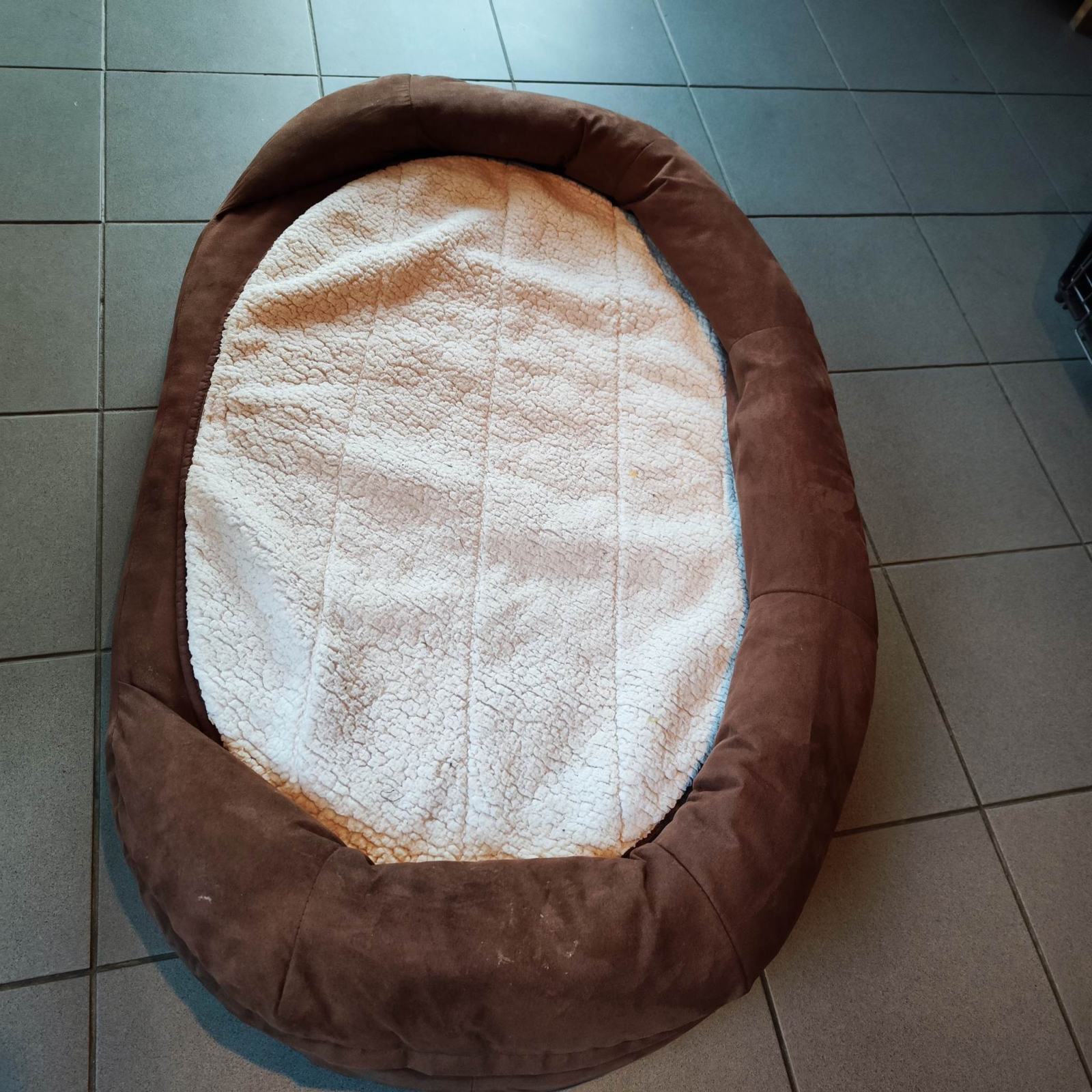 Ortopedska postelja za pse