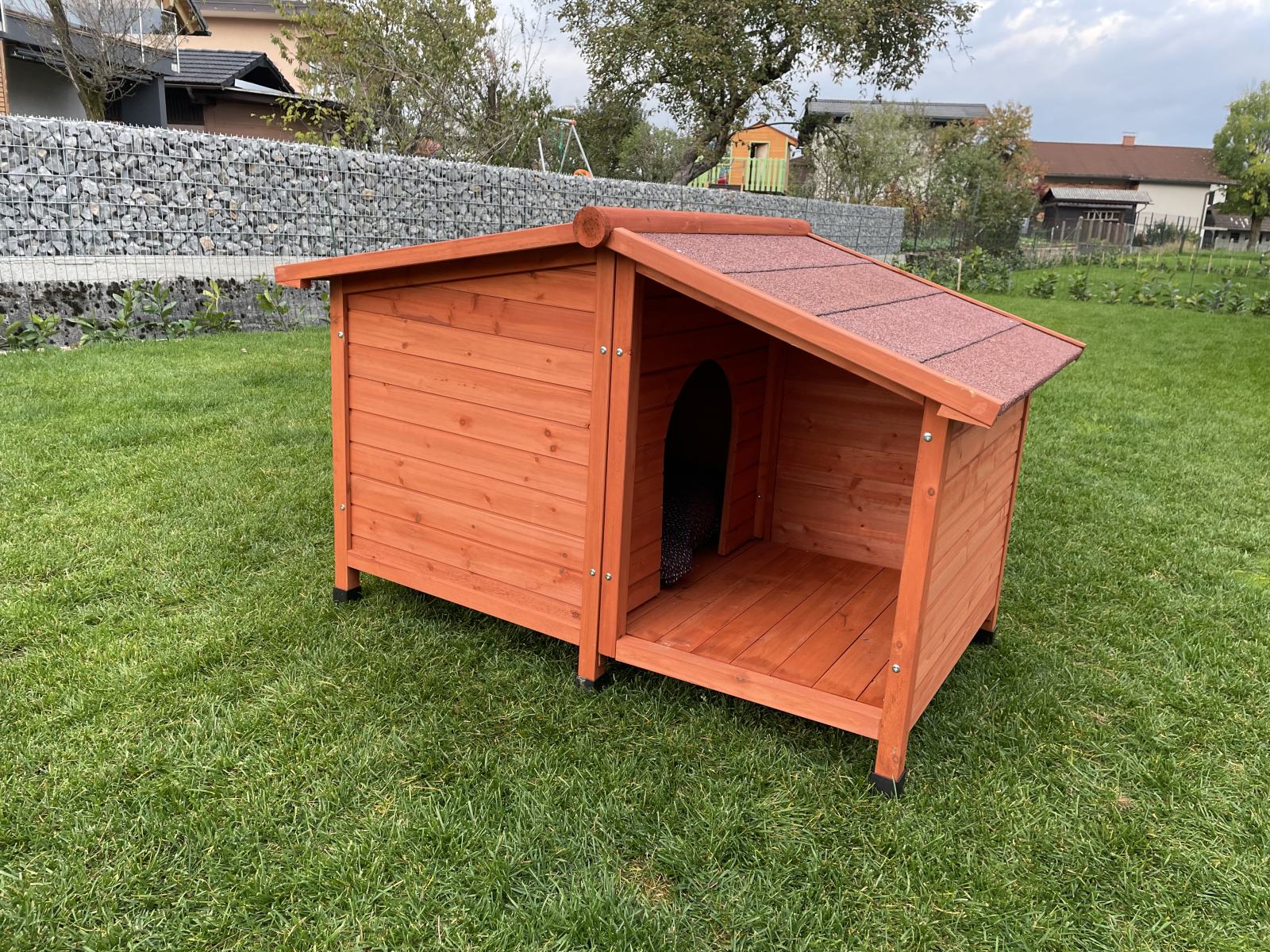 Pasja uta Spike Special - nerabljena