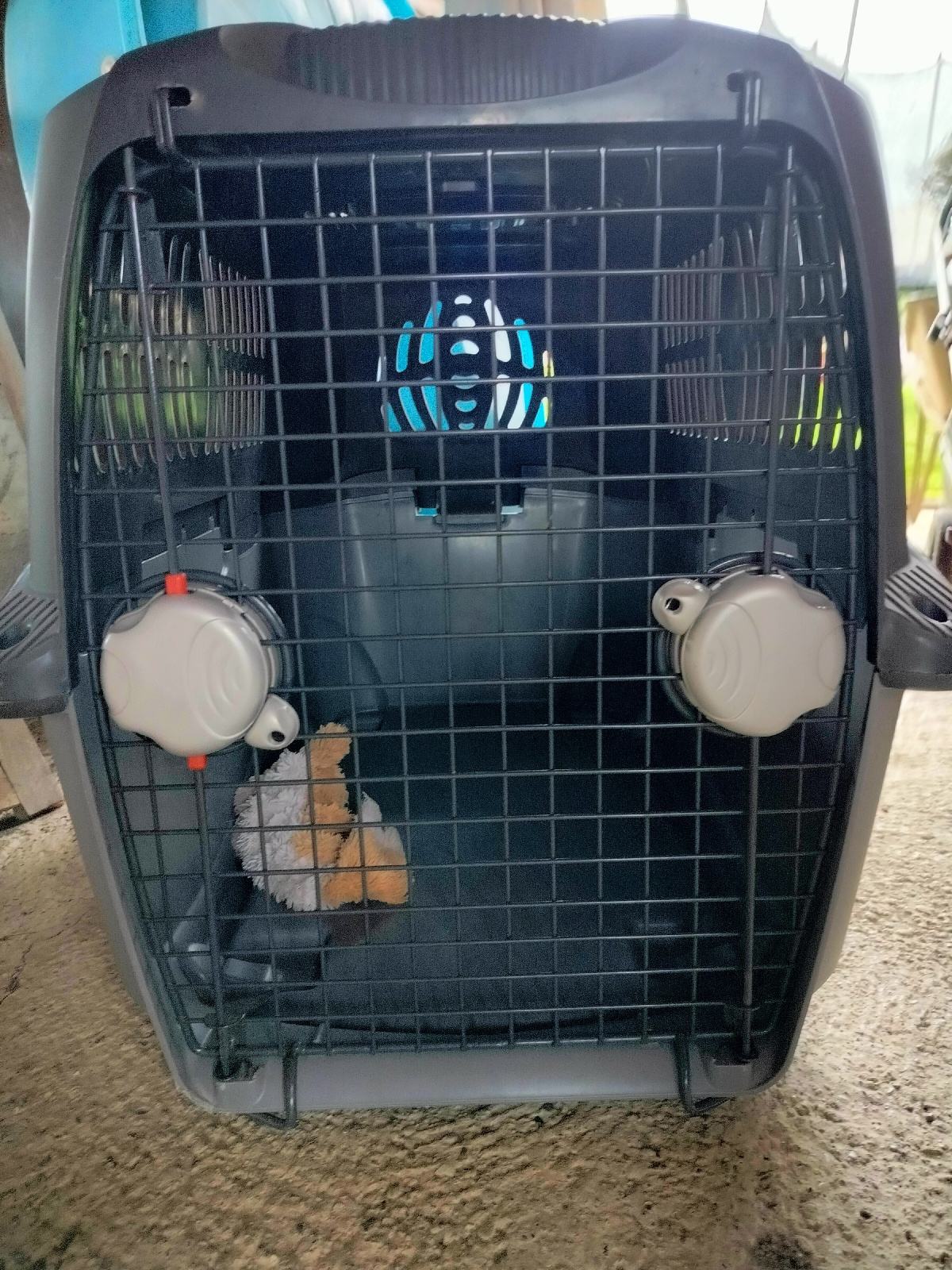 Pasji transportni boks