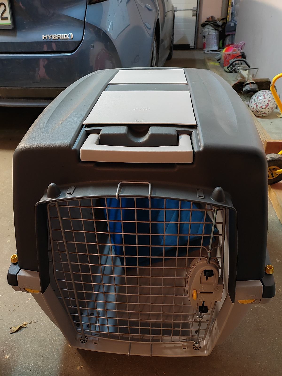 Transporter za psa