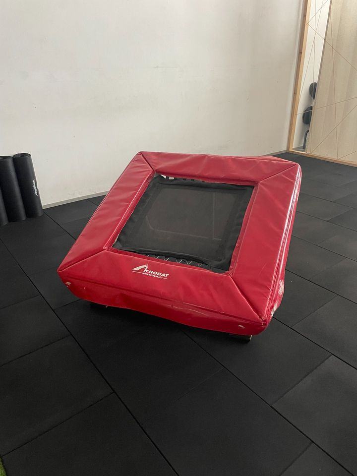 Mala prožna ponjava Akrobat