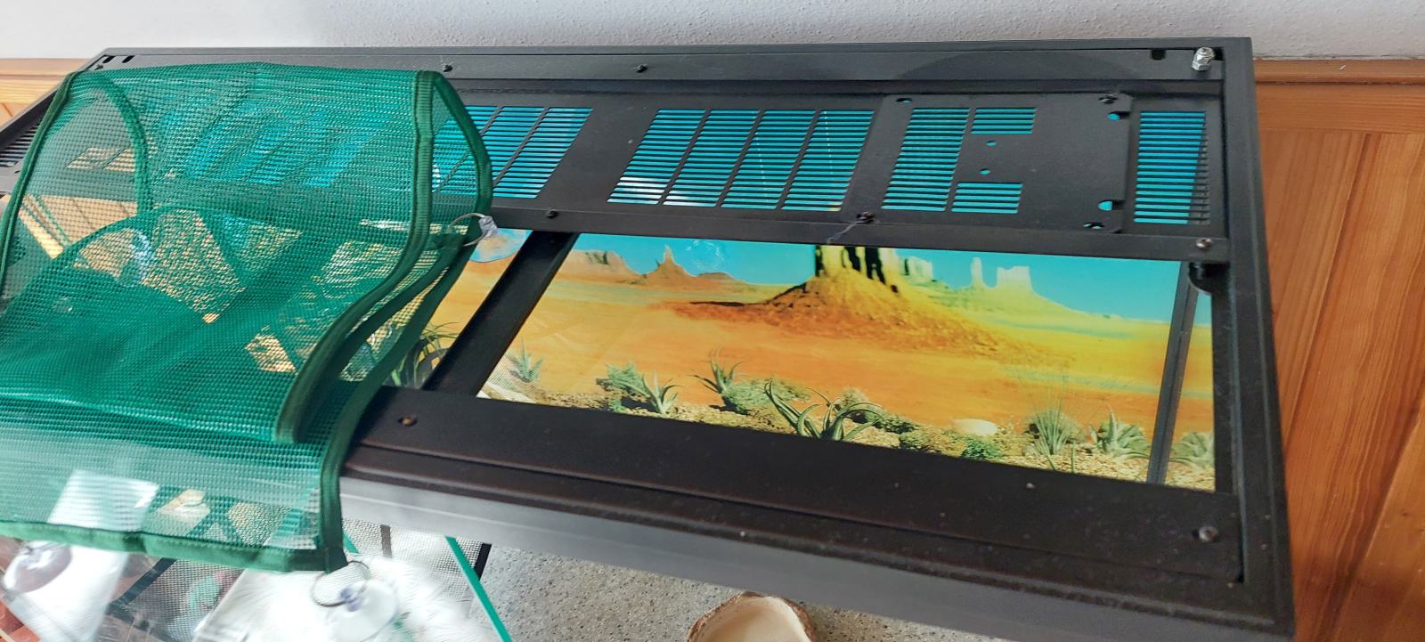 Terarij za bradato agamo z opremo