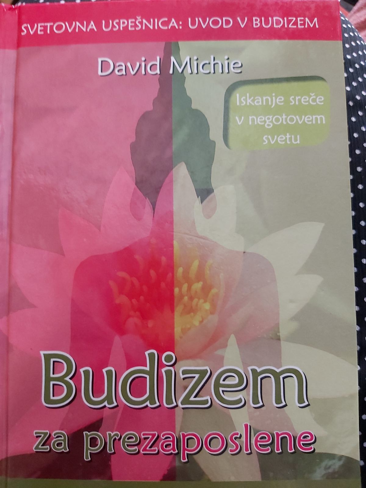 BUDIZEM ZA PREZAPOSLENE David Michie