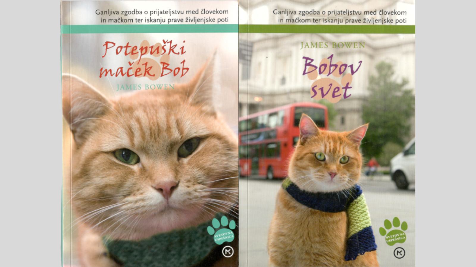 POTEPUŠKI MAČEK BOB; BOBOV SVET - James Bowen