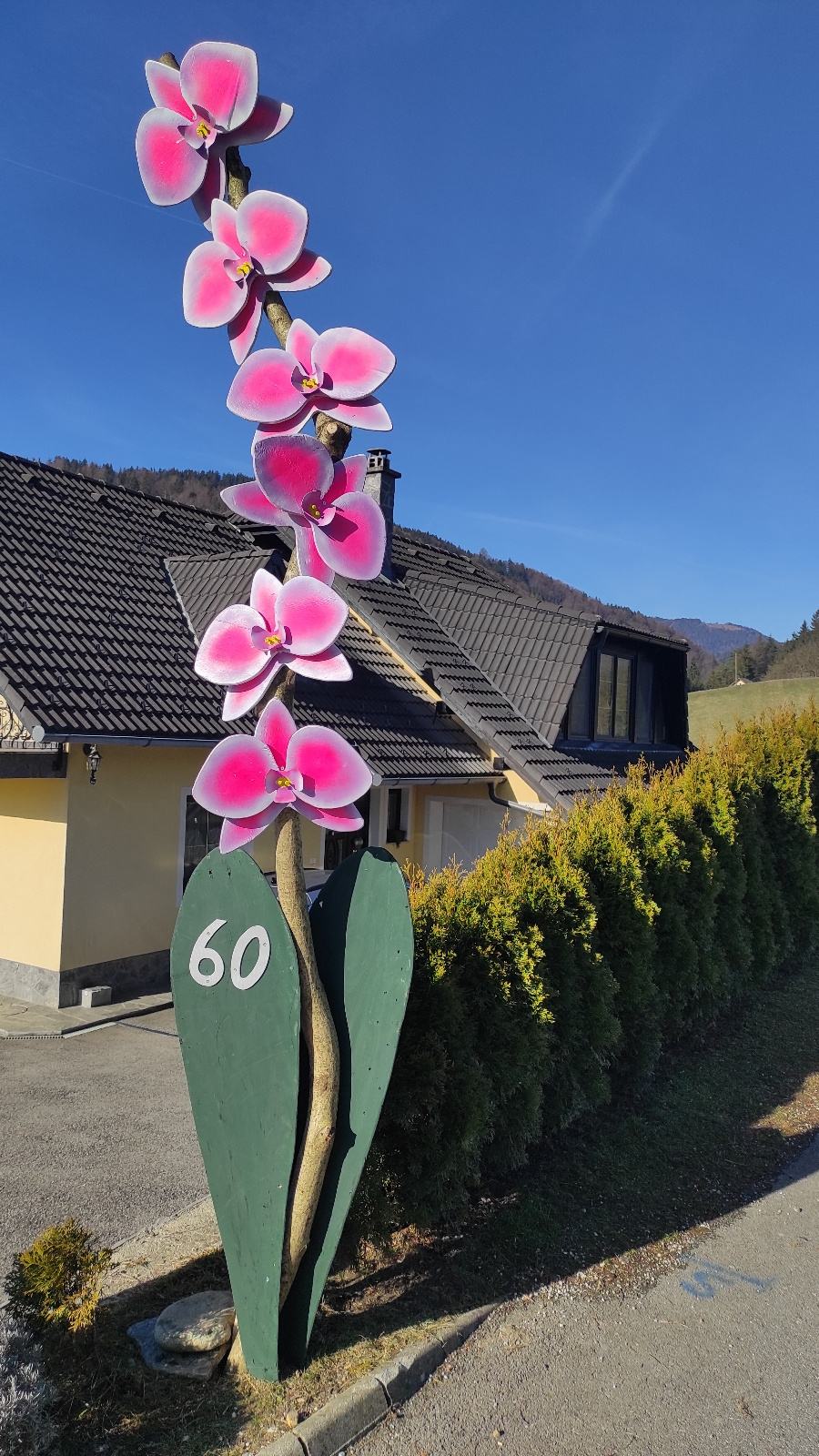 Roža orhideja ,mlaj za rojstni dan